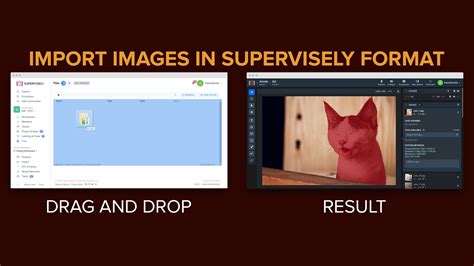 Github Supervisely Ecosystem Import Images In Sly Format Import