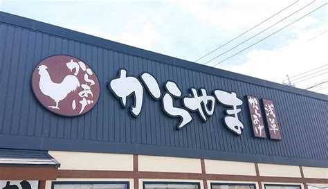 ご飯のおかず2大巨頭が最強タッグ結成！からやまから「しょうが焼きの2種盛り定食」発売（おたくま経済新聞）｜dメニューニュース（nttドコモ）