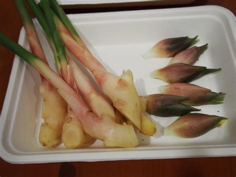 1 5 Npo法人江戸東京野菜コンシェルジュ協会公式ブログ