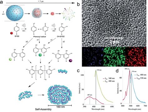 A Scheme Representing Ultrasound Mediated Coupling Of Aromatic Download Scientific Diagram