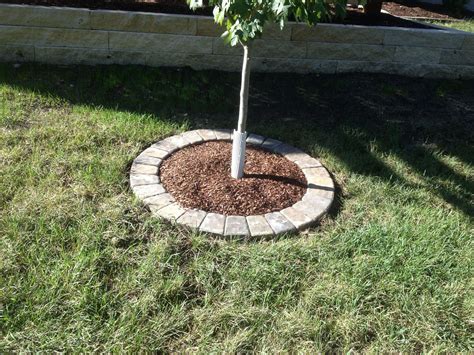 A Simple Tree Ring With Circle Pavers Landscaping Around Trees
