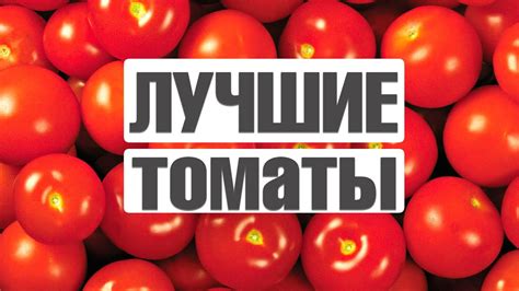 САМЫЕ УРОЖАЙНЫЕ СОРТА ТОМАТОВ ️ Какие сорта помидор посадить в этом