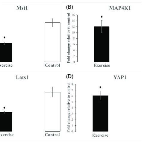 the effect of uphill endurance treadmill running on alteration of left