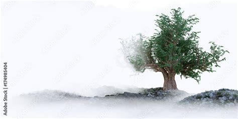 Tree On The Landscape Background With Fog Concept Symbolic Composition Stock Illustration