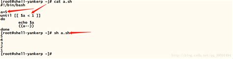 Whileanduntil循环详解while Until Csdn博客