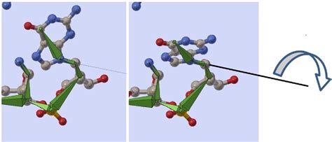 Figure 1 From Skeletal Animation For Visualizing Dynamic Shapes Of