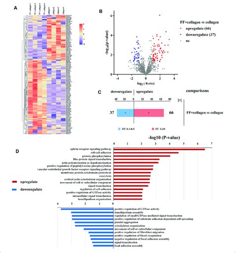 Quantitative Phosphoproteomics Analysis Of Collagen Stimulated
