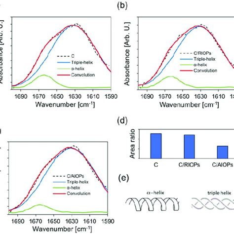 Deconvolution Of Amide I Peak In The Case Of Bare Collagen Placed In Download Scientific