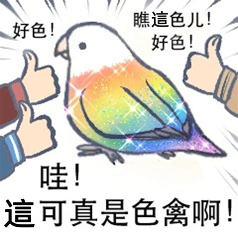 色禽東西 場外休憩區 哈啦板 巴哈姆特
