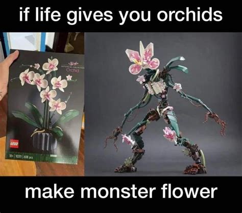 The Best Flower Memes Memedroid