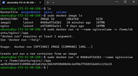 How To Use Bind Mount In Docker Geeksforgeeks