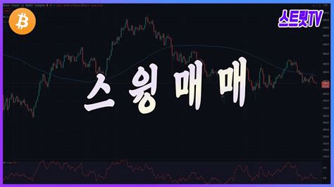 존나 느린 투자가 빠른 투자다 Youtube