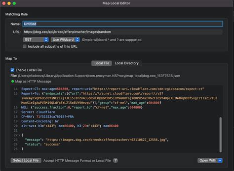 Quick Guide On Proxyman For IOS Development