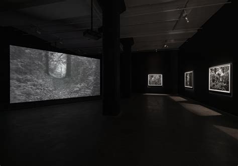 Dawoud Bey Stony The Road Exhibitions Sean Kelly Gallery