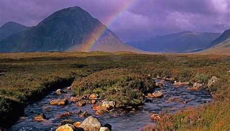 Peat Bogs