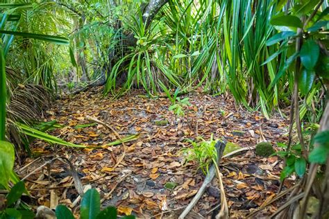 Filladhoo Serenity And Community Spirit Zuvaan Masveriya