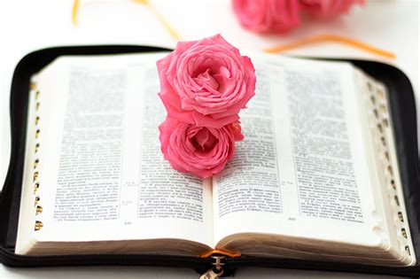 10 Popular Bible Verses About Marriage Love And Commitment Amm Blog