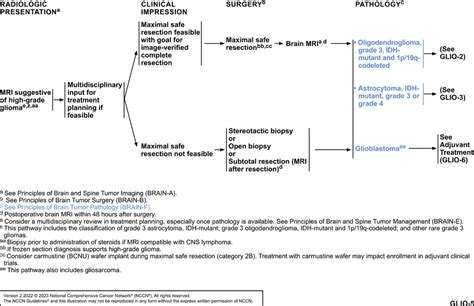 Nccn Guidelines® Insights Central Nervous System Cancers Version 2
