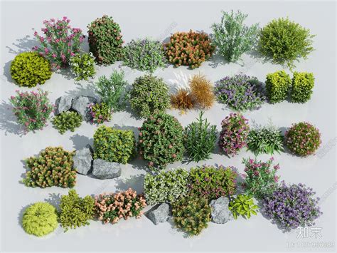 花草花卉组合su模型下载【id1137986689】知末su模型网