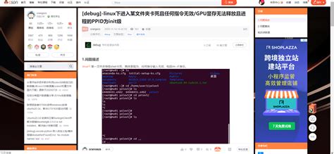 故障案例：linux机器用户cd进不了系统某目录或者进去后执行不了命令呈现卡死状态 工作实战 测试成功 2021 11 16（僵尸进程