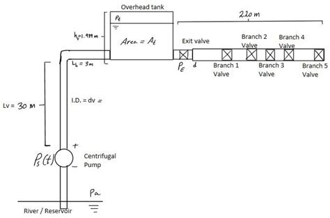 Solved Draw A Linear Graph And Write The Chegg