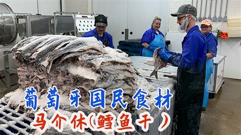 曾帮助欧洲解决温饱的国民海产品葡萄牙盐鳕鱼干马介休 凤凰网视频 凤凰网