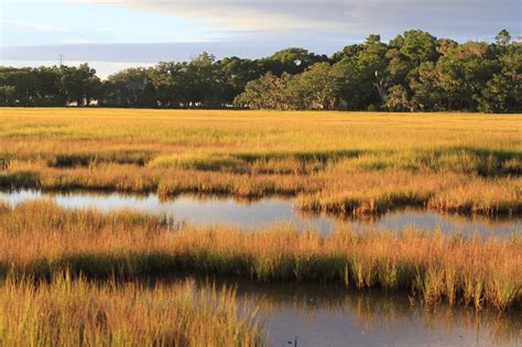 Beyond The Beach Playing In Georgias Salt Marshes Explore Georgia