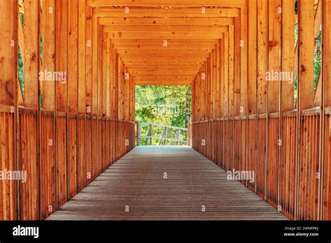 Landscape Timber Bridge