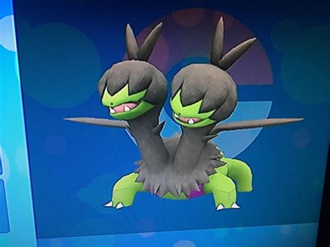 Gen 9 Shiny Roaring Moon And All The Phases While Looking For It R