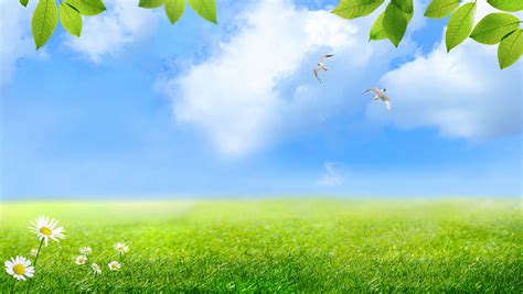 무성한 푸른 잔디와 맑고 푸른 하늘이 특징인 밝고 아름다운 여름 풍경 경관에 대한 스톡 사진 및 기타 이미지 경관 구름 구름 풍경 Istock