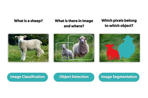 What Is Image Segmentation Dida Ml Basics