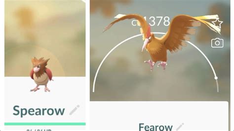 Spearow Evolution Into Fearow Normalflying Pokemon Pokemon Go