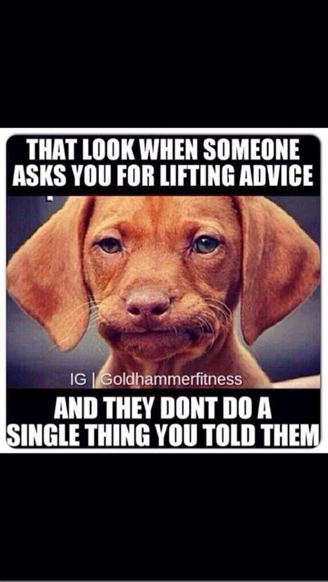 Workout Memes Gym Memes Gym Workouts Bodybuilding Memes