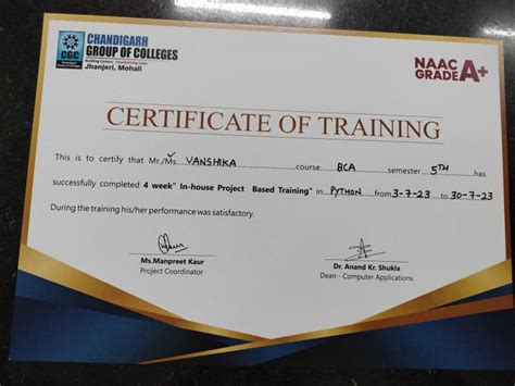 Vanshika Rawat On Linkedin I Completed My Summer Training Program In