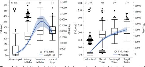 Figure 3 From Size Distribution And Reproductive Phenology Of The