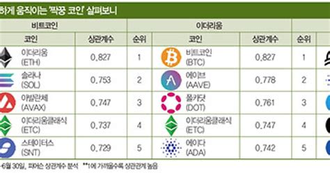 비트코인과 제일 비슷하게 움직이는 코인은 코린이를 위한 암호화폐 설명서 29