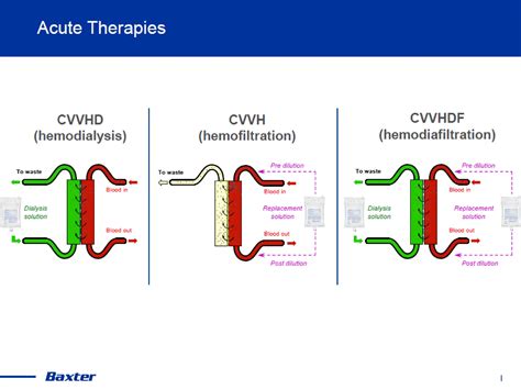 Crrt With Prismaflex Slides Renal Replacementpdf