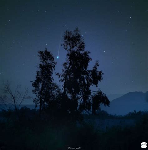 Photos Of Comet Nishimura From Around The World