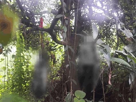 Dead Bodies Found Hanging From Mango Tree In Beniganj Relatives Were