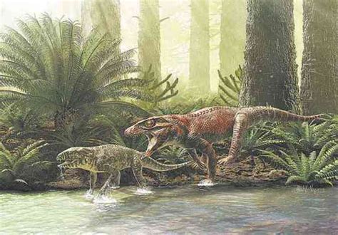 Descoberto crocodilo que habitou o Brasil há milhões de anos Tecnologia Estado de Minas