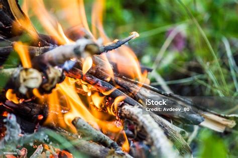Photo Libre De Droit De Le Feu Dans Lherbe Verte Un Incendie Dans Les