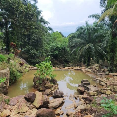 Daily Johor 📍jeram Sendayan Gunung Panti Kota Tinggi Facebook