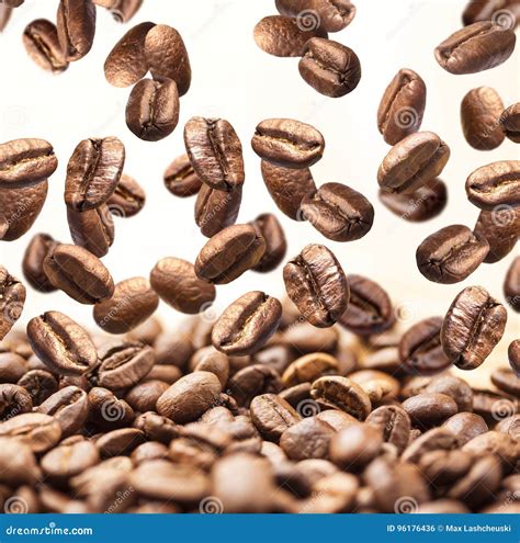Falling Coffee Beans Isolated On White Stock Photo Image Of