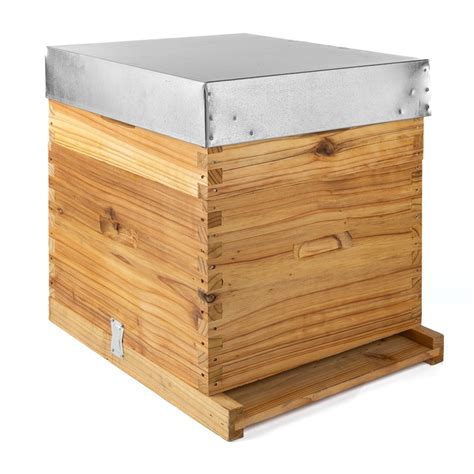 Colmena Dadant Blatt Cryptomeria 10 Cuadros Completa