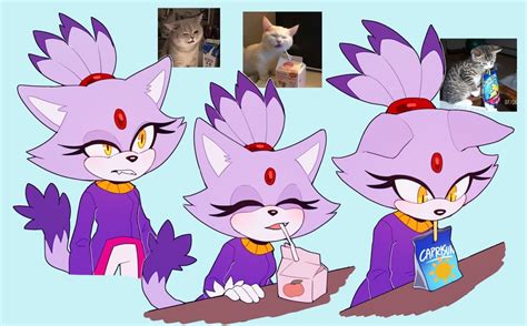 Cat Pics But Its Blaze By Cool Ranch Baja Blast Sonicthehedgehog
