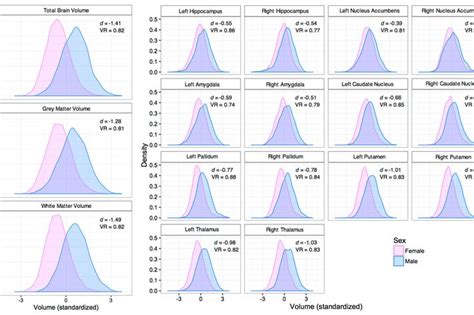 Heres The Biggest Study Yet On Brain Based Sex Differences