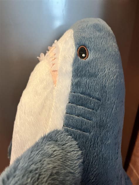 Big Problem… R Blahaj