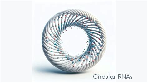 Circular Rnas A Comprehensive Overview