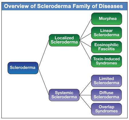 General Description Scleroderma Education Project