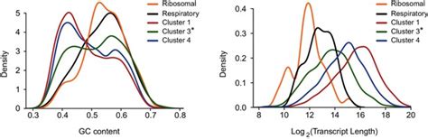 Figures And Data In A Systematic View On Influenza Induced Host Shutoff